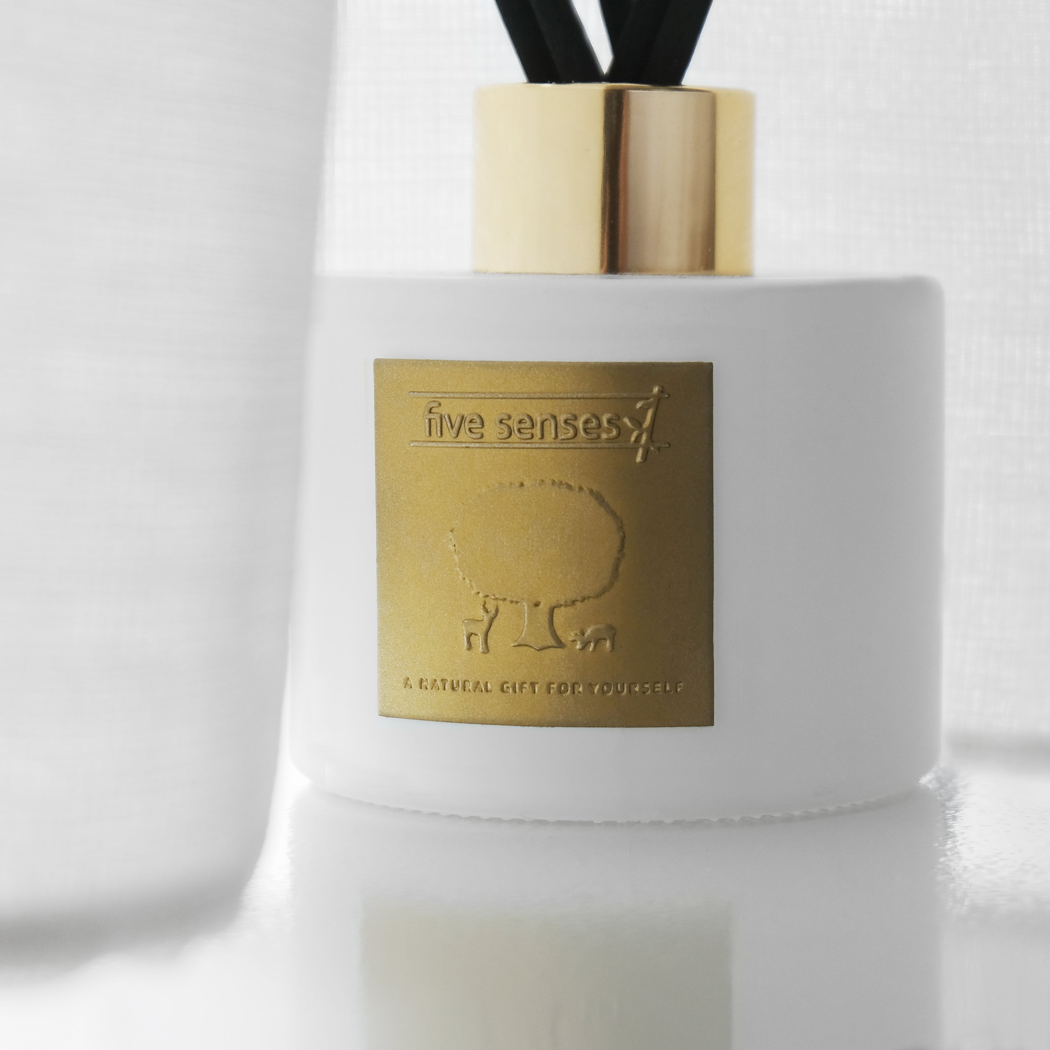 Floral Blush Reed Diffusers 100ml – Five Senses Lifestyle